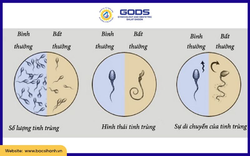 Thế nào được coi là vô sinh, hiếm muộn? - Bác Sĩ Hạnh